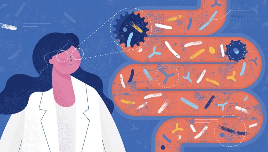 Probiotics for C. diff: Prevention and Treatment